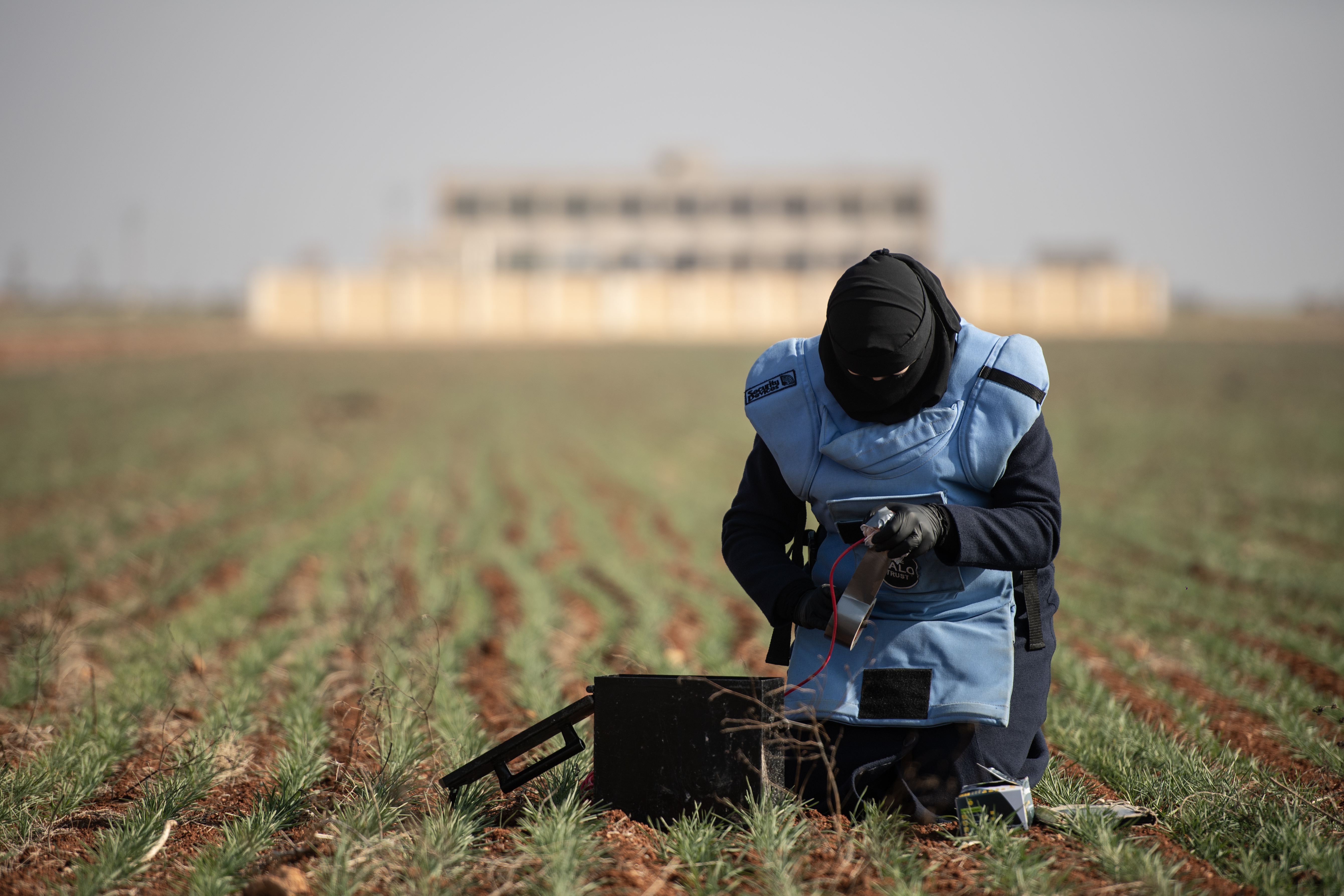 Lama Haj Kaddour Working in the field2.jpg | The New Humanitarian