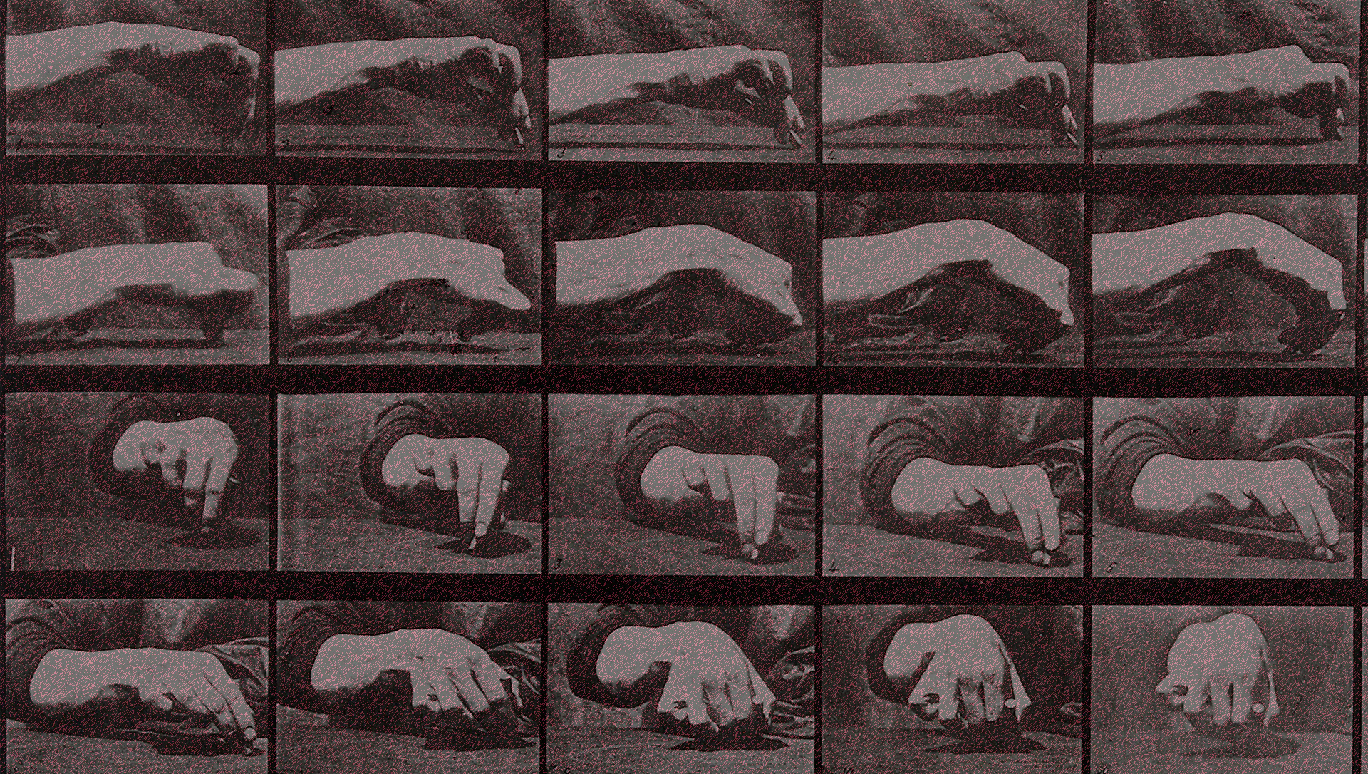 hands-aid-change.jpg | The New Humanitarian