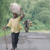 1896.jpg | The New Humanitarian