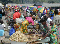 1951.jpg | The New Humanitarian