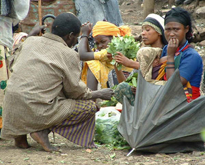 2003496.jpg | The New Humanitarian