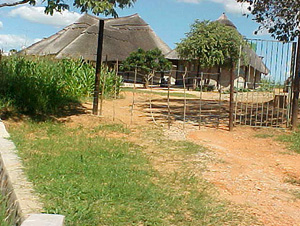 The New Humanitarian | Small scale farming seen as only alternative for ...