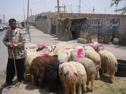 20063231.jpg | The New Humanitarian