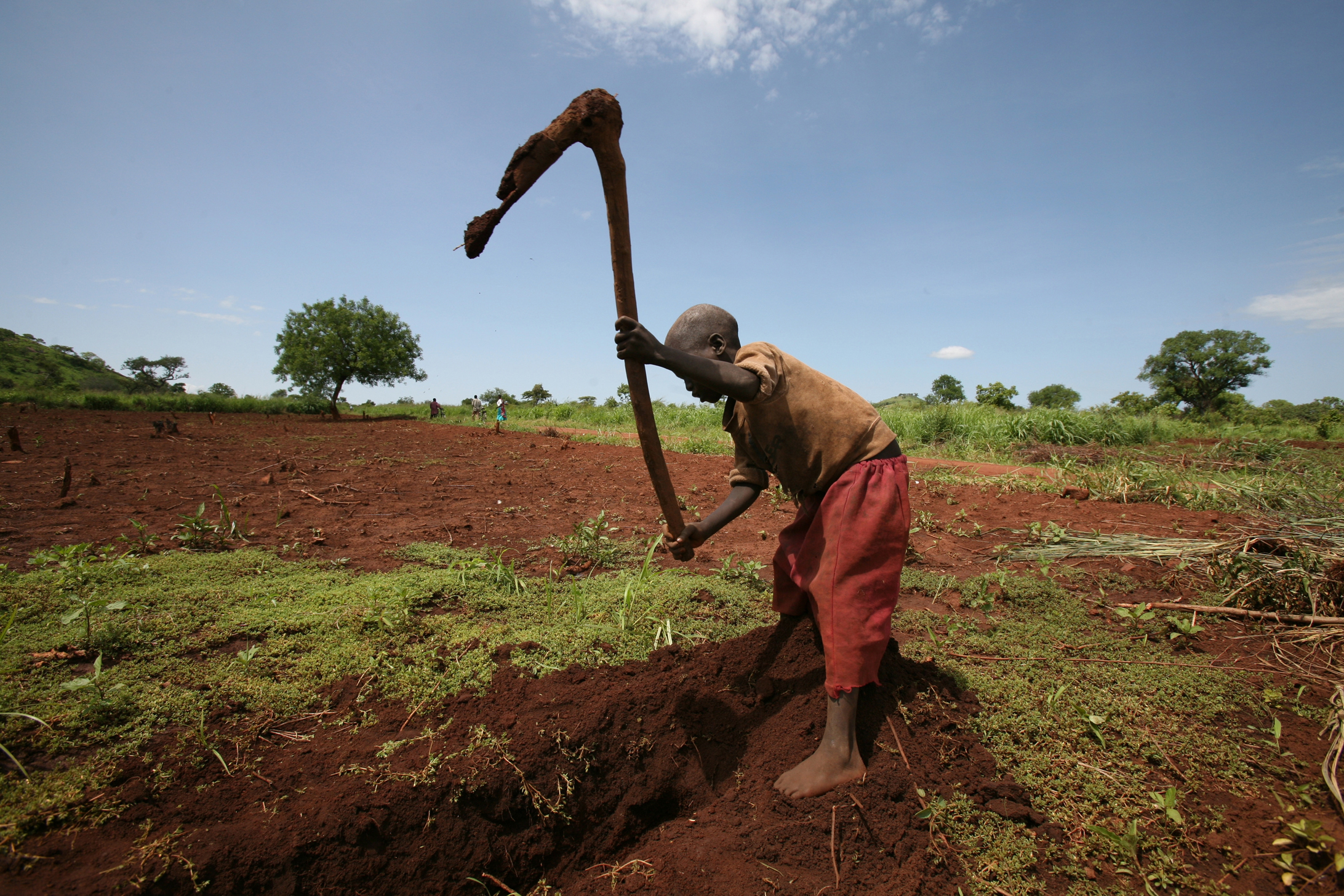 World Pictures Of Digging