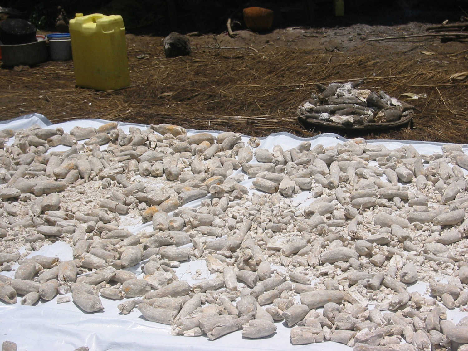 The New Humanitarian | Disease devastates cassava crop, threatens ...