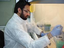 [Afghanistan] At the WHO Regional Reference Laboratory for Polio ...