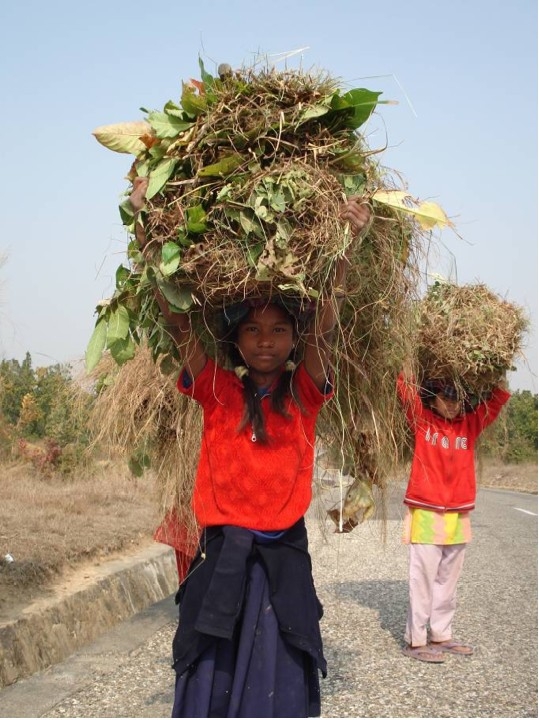 The New Humanitarian | Girls sold by parents for domestic labour