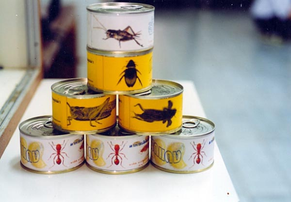 Some 1,400 species of insects are eaten in Africa, Asia and the ...