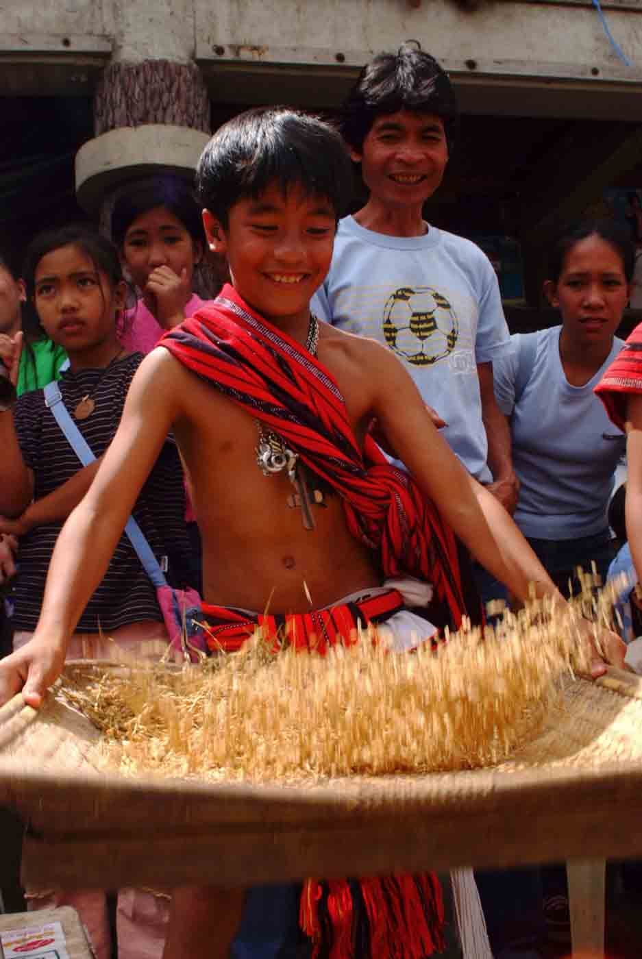 A Filipino boy winnowing the rice crop - a much-valued commodity. High ...