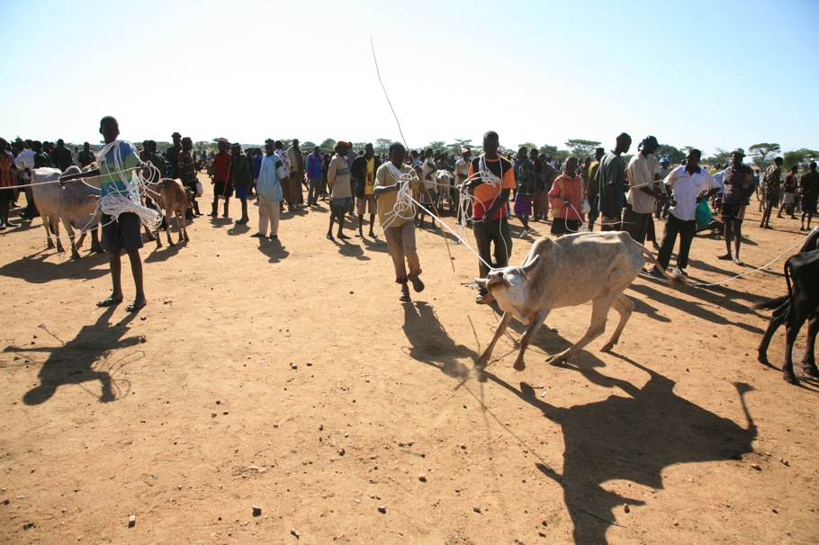 The New Humanitarian | Water scheme proposed for parched Karamoja