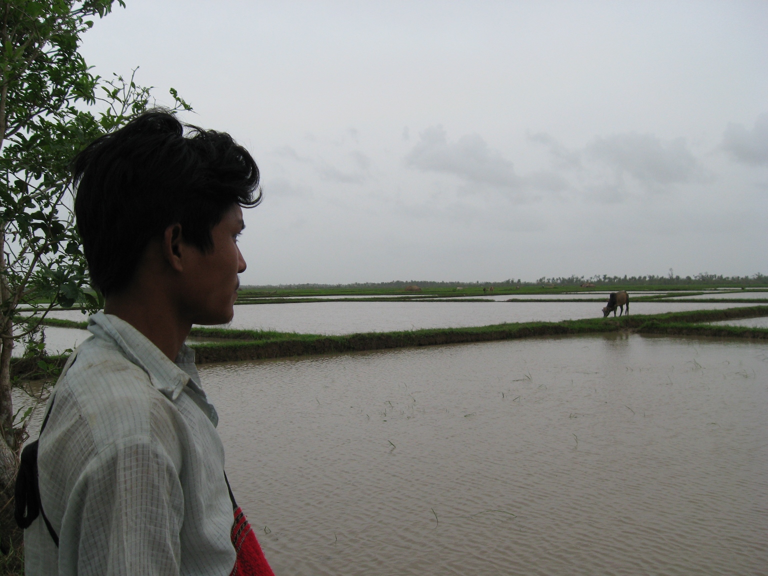 Zayar Win, a farmer in Myanmar's cyclone-affected Ayeyarwady delta ...
