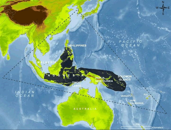 The Coral Triangle covers all or part of the seas of Indonesia ...
