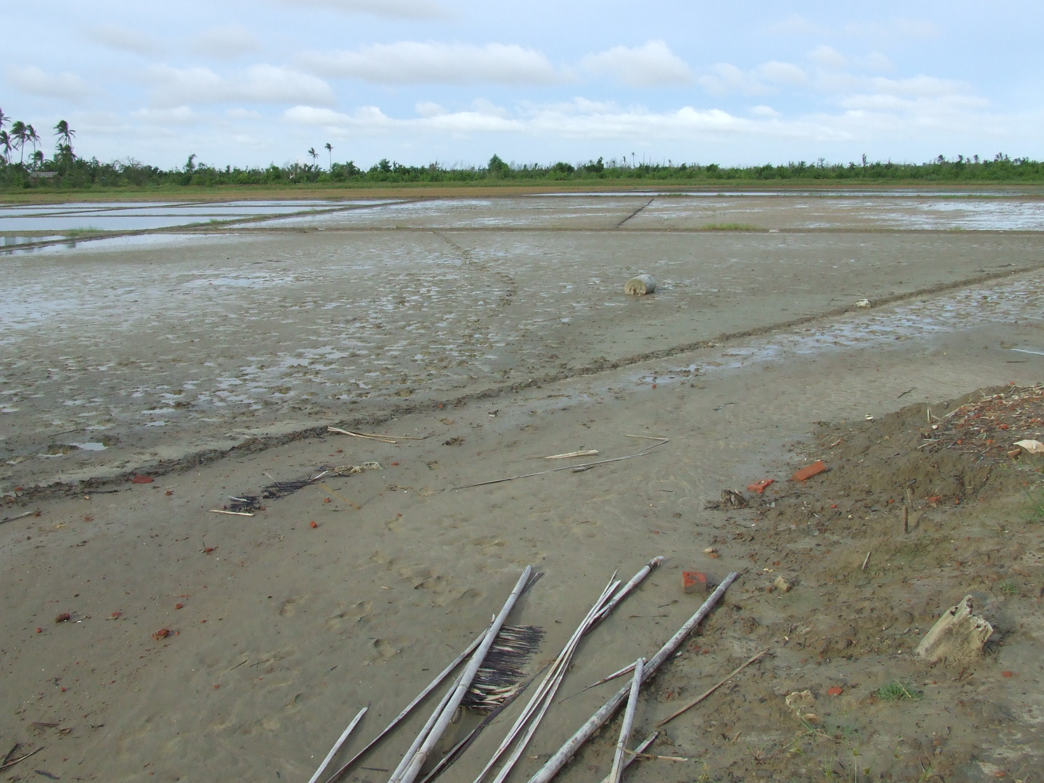 The New Humanitarian | Salt farmers battling to rebuild livelihoods
