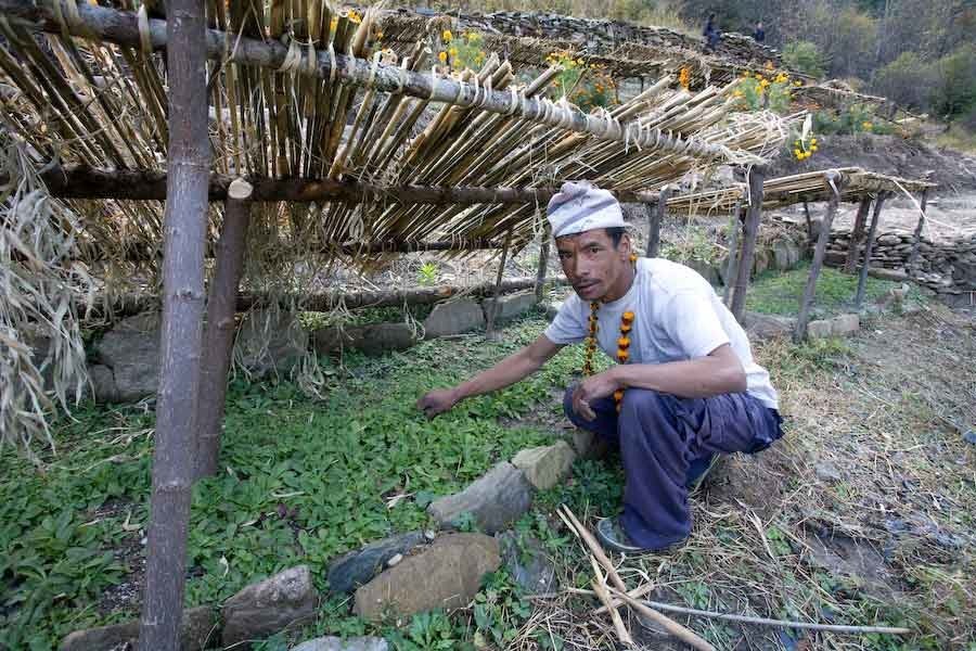 The New Humanitarian | Remote mountain villagers pin hopes on herb nursery