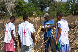 Ghana Red Cross Society volunteers | The New Humanitarian
