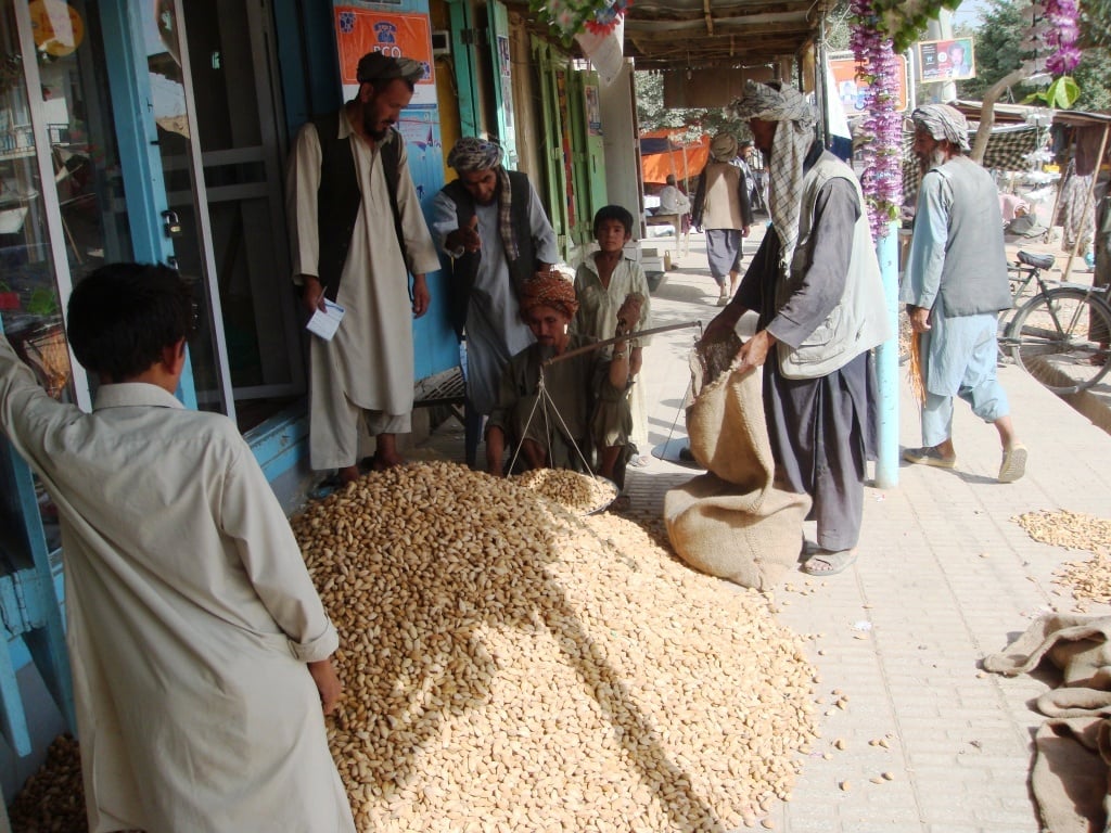 The New Humanitarian | Low almond prices hit farmers