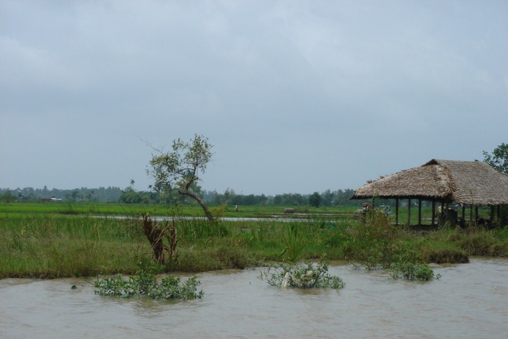 The New Humanitarian | Damaged embankments threaten Nargis recovery
