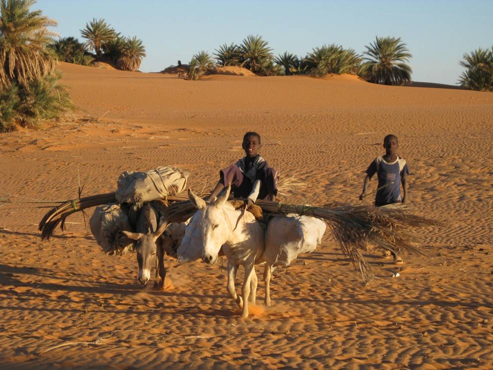 Fada, capital of northern region Ennedi in Chad | The New Humanitarian