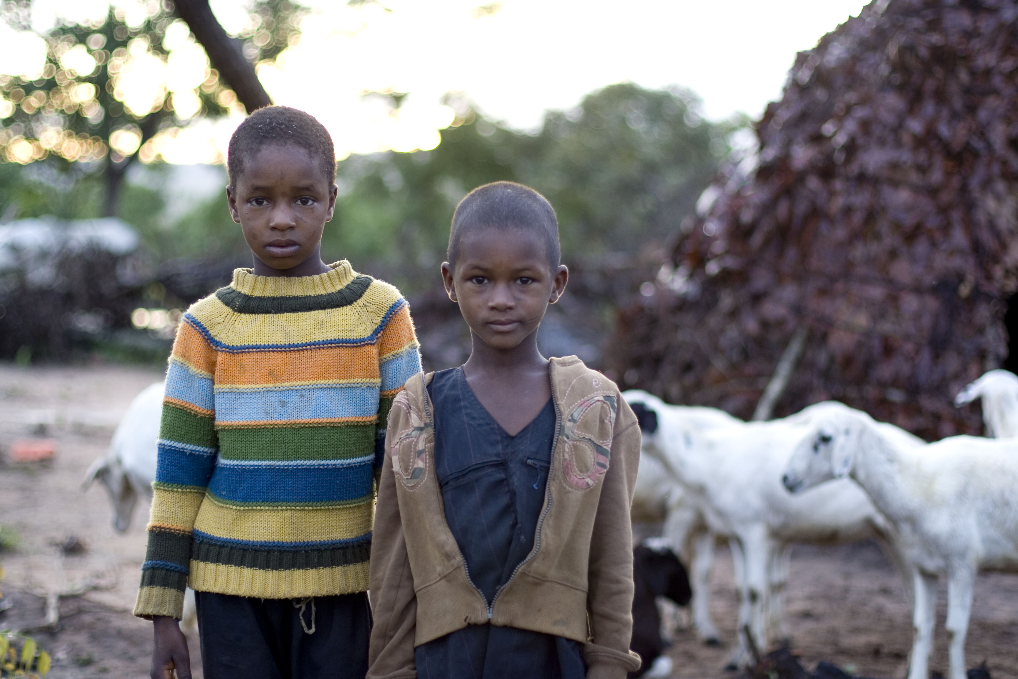 The New Humanitarian | Gevena