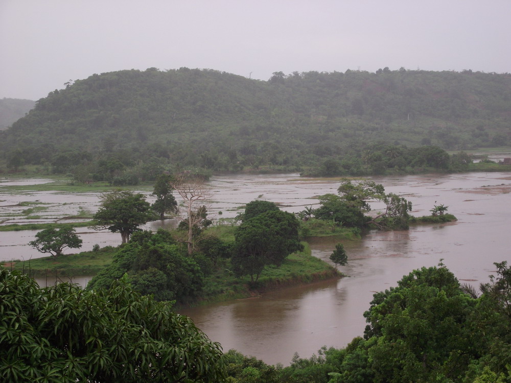 Damage caused by Cyclone Bingiza, near Antalaha in the north east of ...