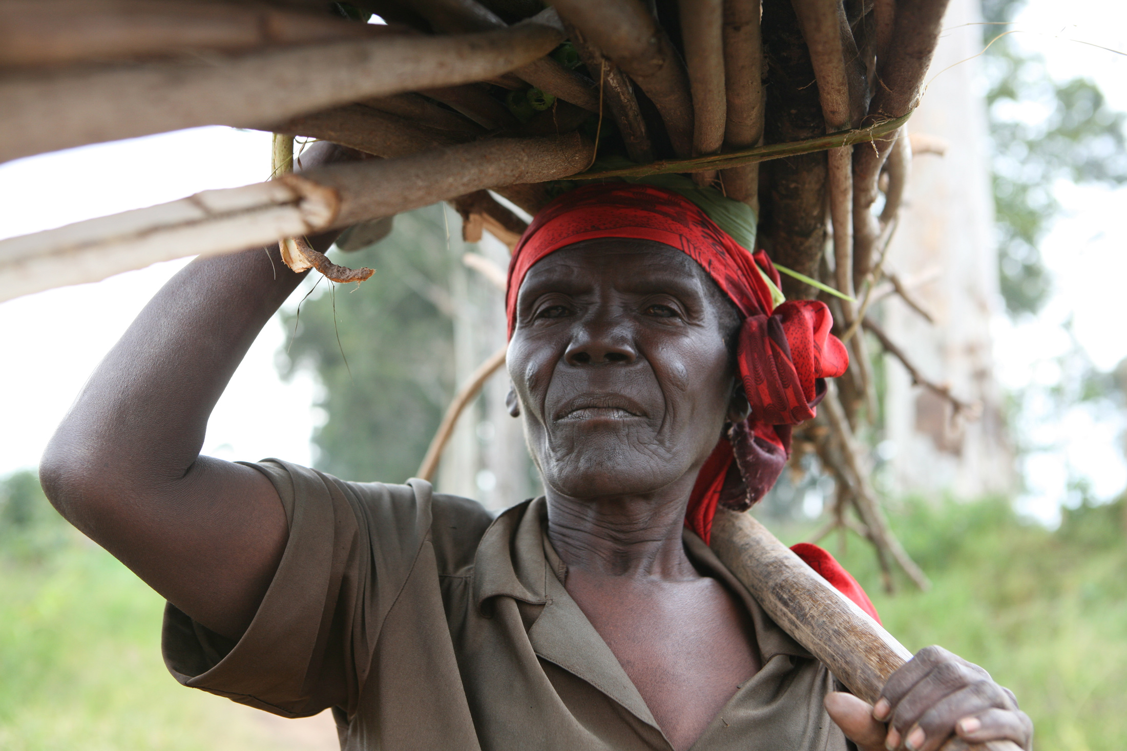 A woman carries firewood in Mahagi territory, northeastern DRC | | The ...