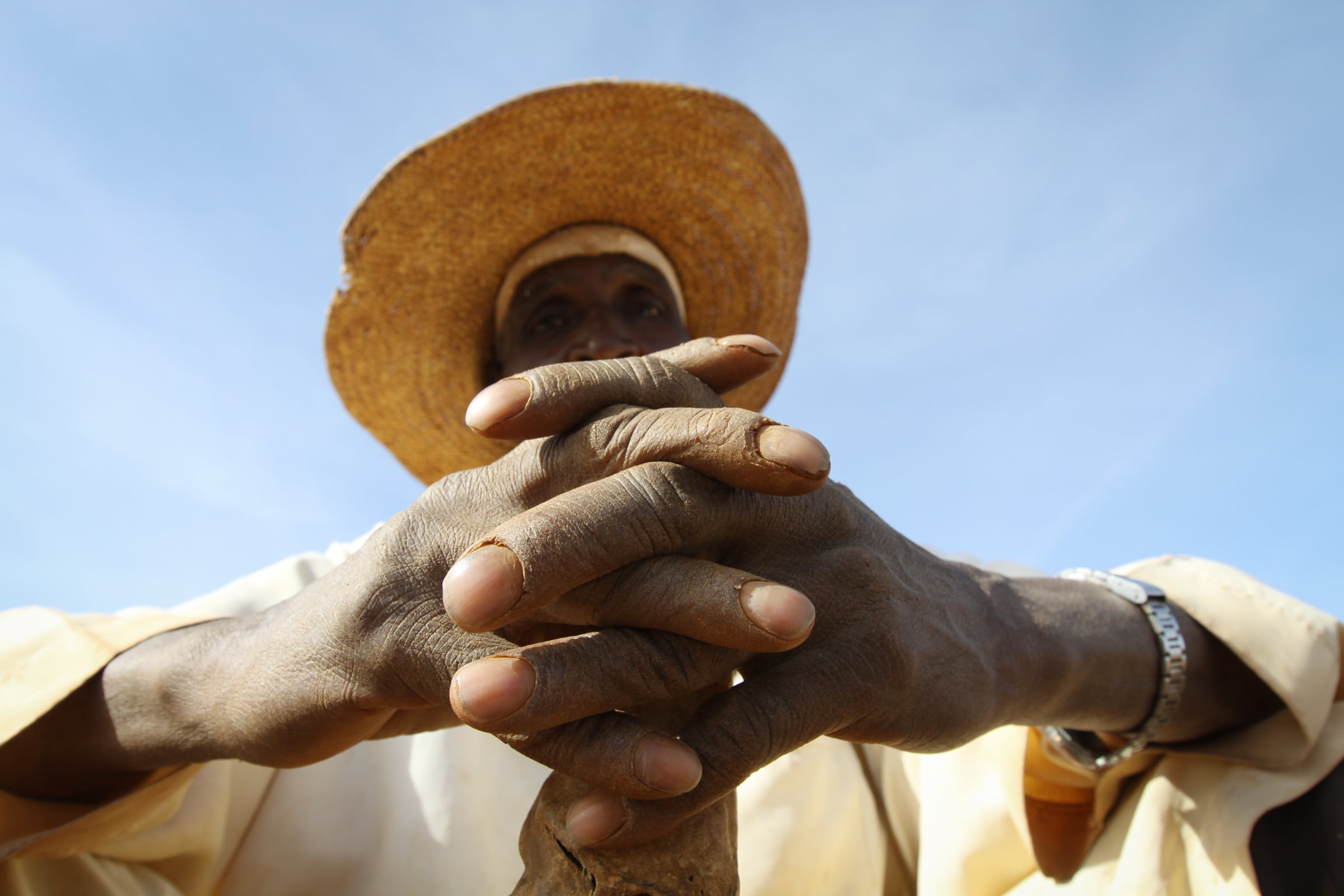 The hands of a working man on one of the man successful World food ...