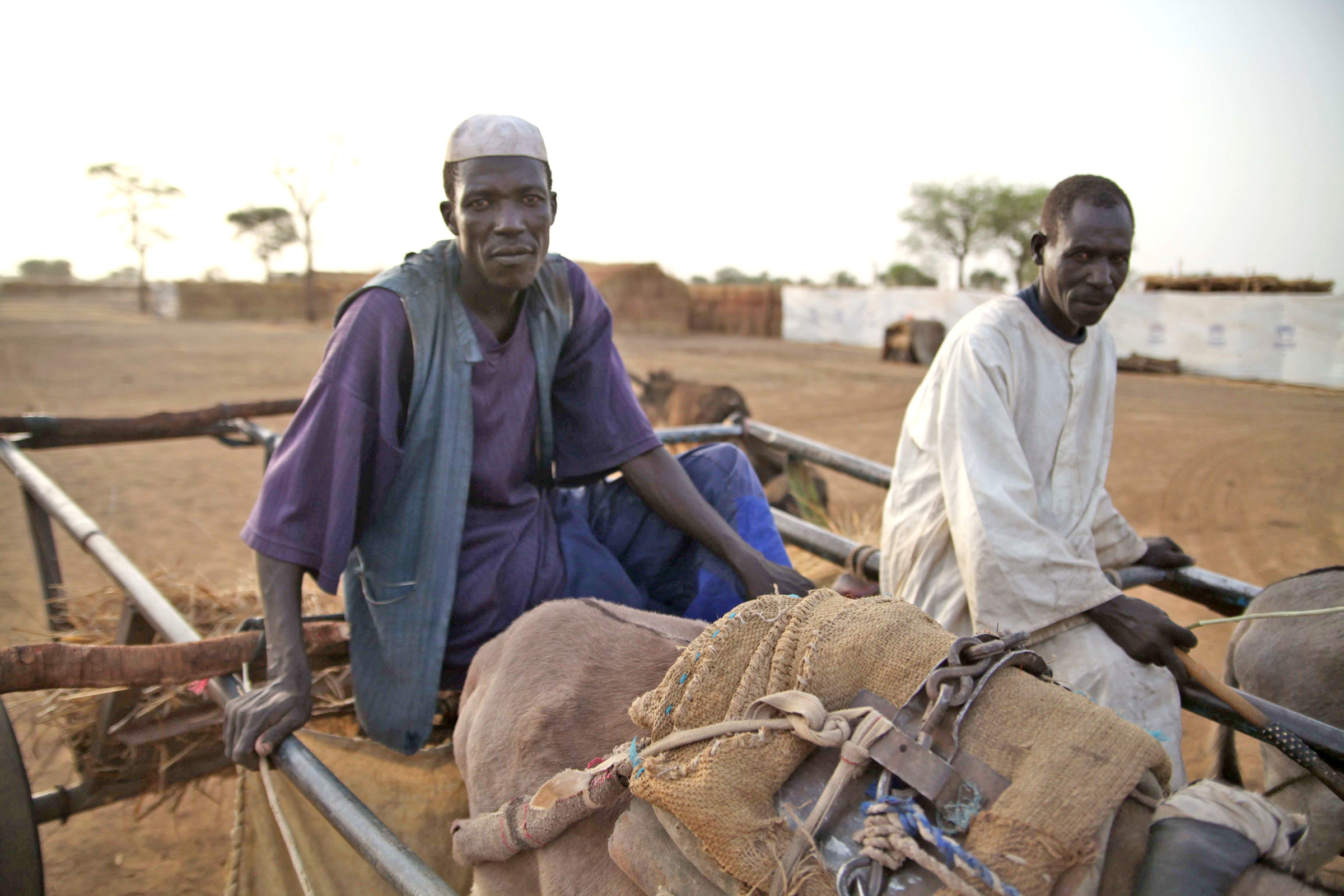 New arrivals at Jamam refugee camp, South Sudan | The New Humanitarian