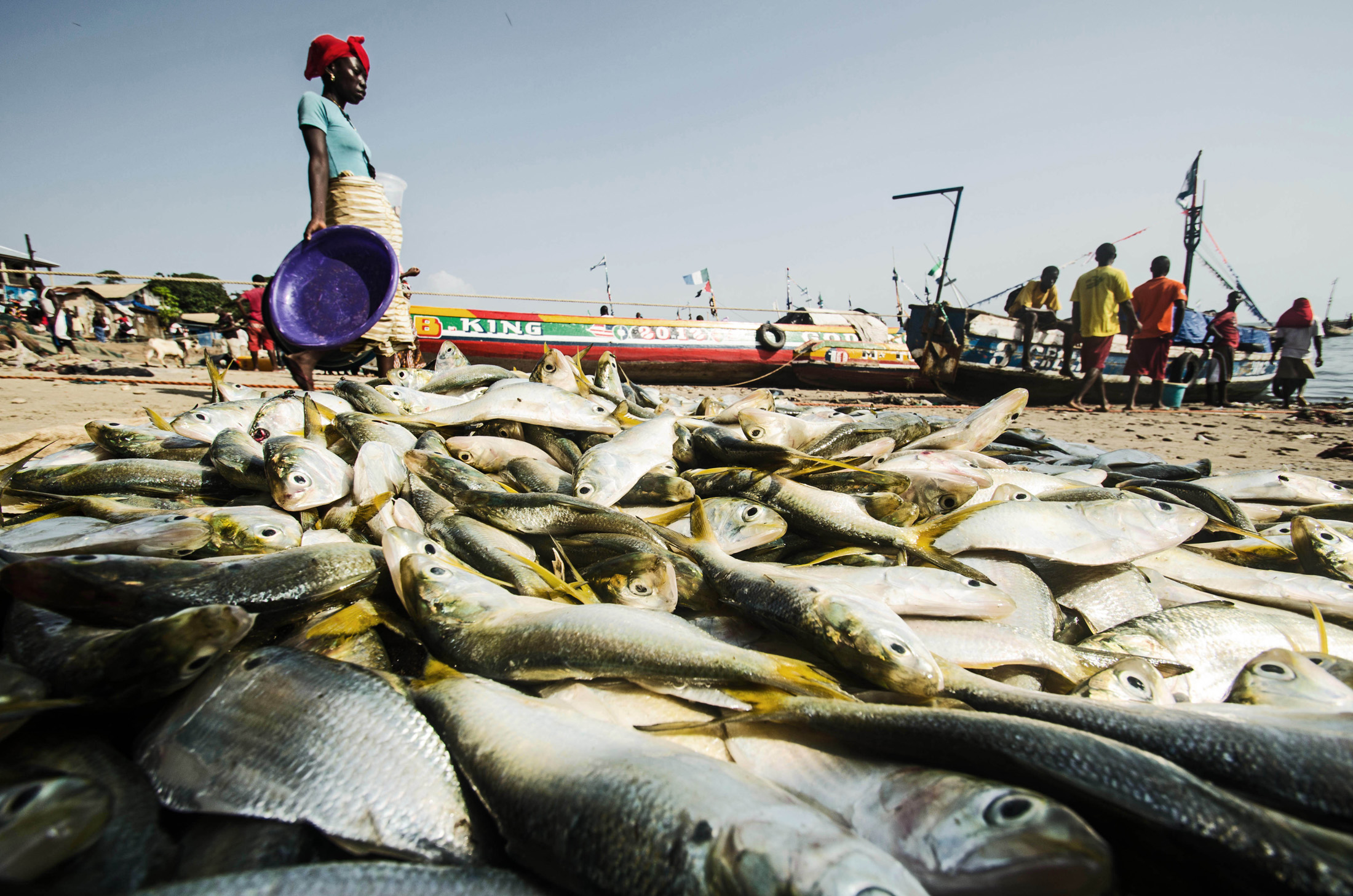 A woman walks past fish laid out for sale in Tombo. Fishermen have to ...