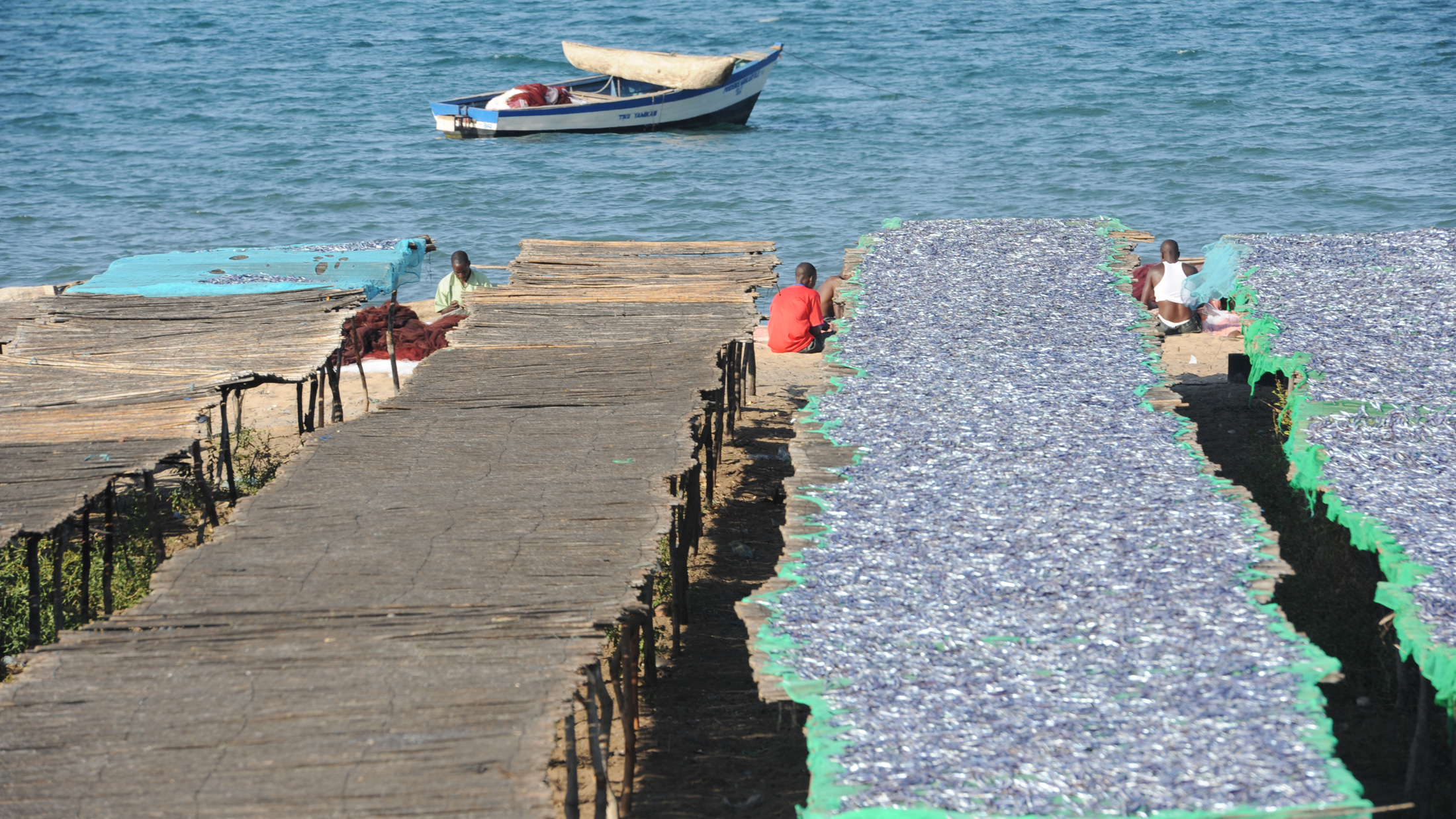 Fishermen in Ngara, a northern Malawi fishing village about 30km south ...
