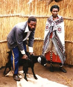 21128.jpg | The New Humanitarian