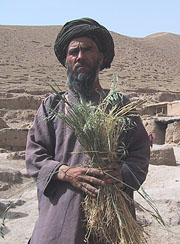 2260.jpg | The New Humanitarian