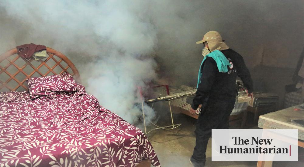 The New Humanitarian | Why the climate crisis makes dengue a growing threat