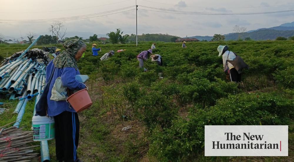 Abuse, conscription, drug addiction: Myanmar refugees speak of life in ...
