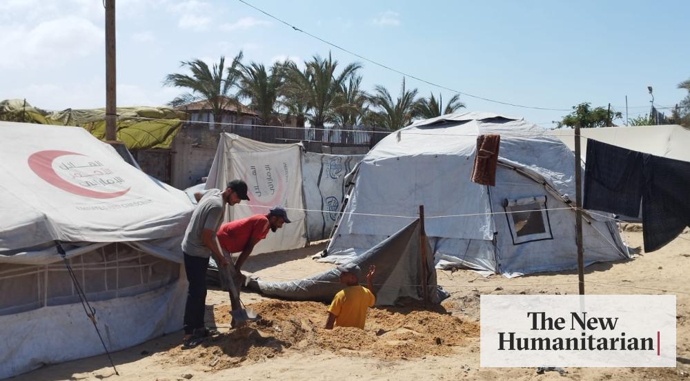 “We live as if we are in a barren desert”: Rasha Abou Jalal’s Gaza City ...