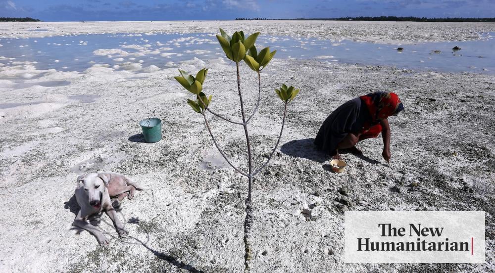 The New Humanitarian | The climate displacement crisis has a neglected ...