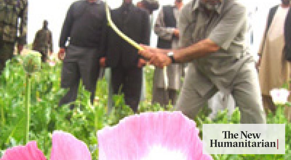 New counter-narcotics force records successes