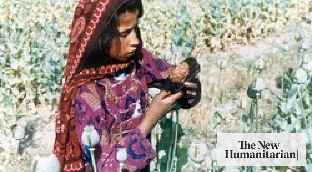 The New Humanitarian | Afghan women and opium The New Humanitarian | Afghan women and opium