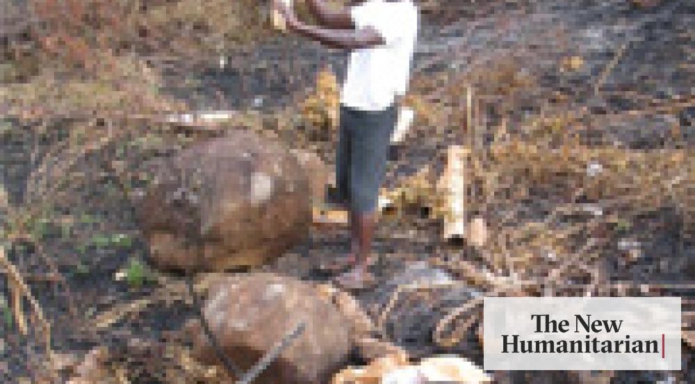 New measures to counter environmental degradation