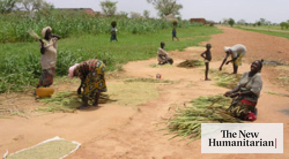 Government plans food security reserve, wants to modernise farming