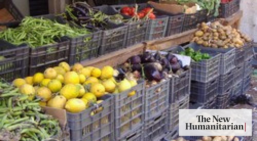 Climate change could threaten food security - FAO report