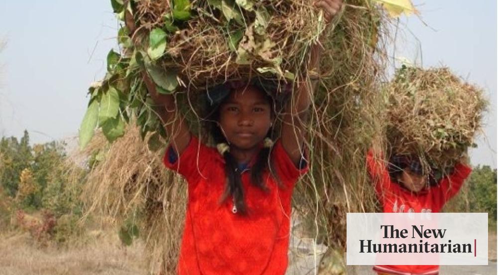 Girls sold by parents for domestic labour