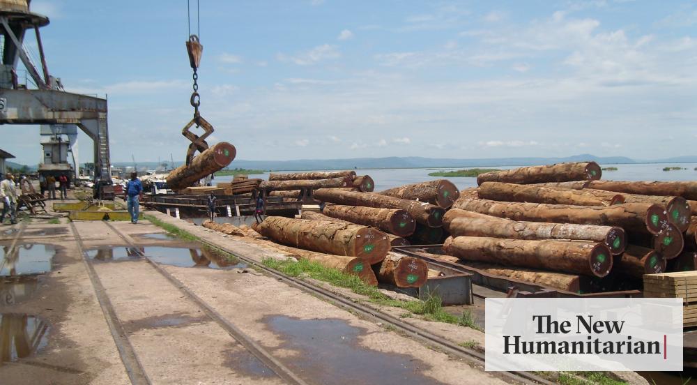 Ghana in the vanguard of new logging laws
