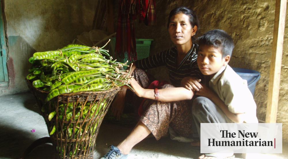 The New Humanitarian | Rats exacerbate food insecurity in Chin State