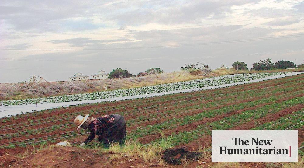 New report highlights exploitation of migrant workers