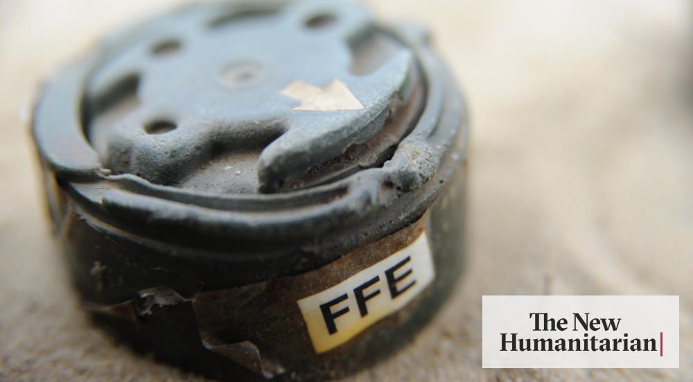 Zimbabwe's demining neglected