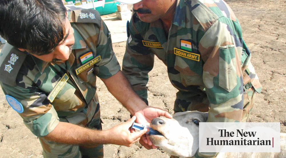 Saving animals to save lives