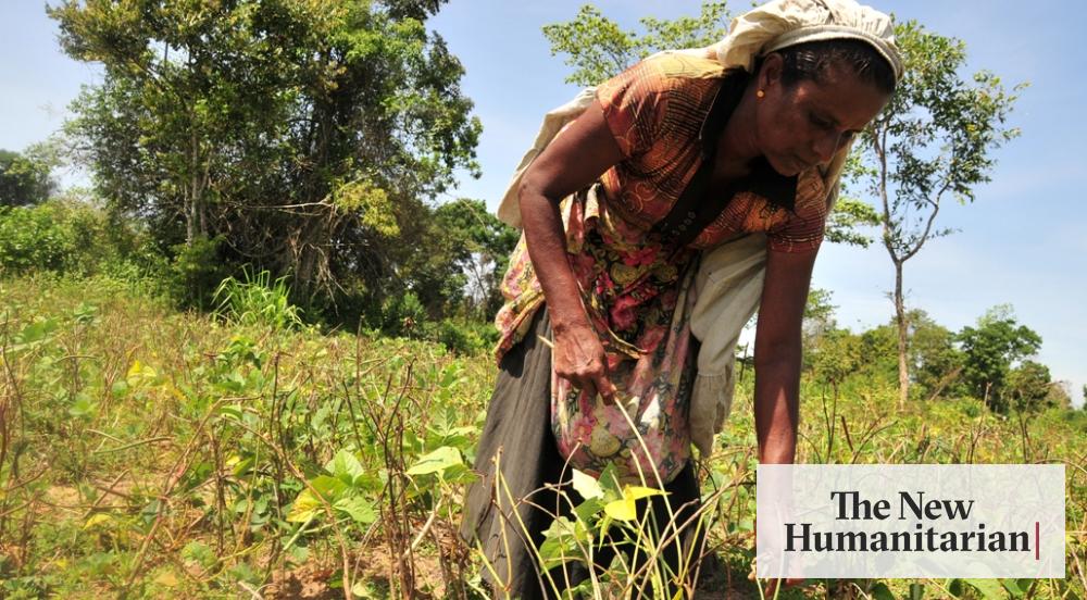 The New Humanitarian Water Mismanagement In Northern Sri Lanka