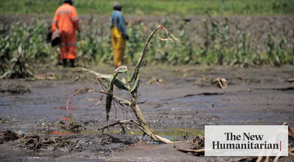 Taking the risk out of subsistence farming