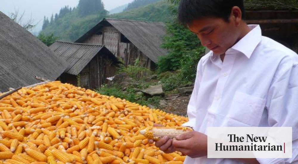 Trafficked workers exploited in China