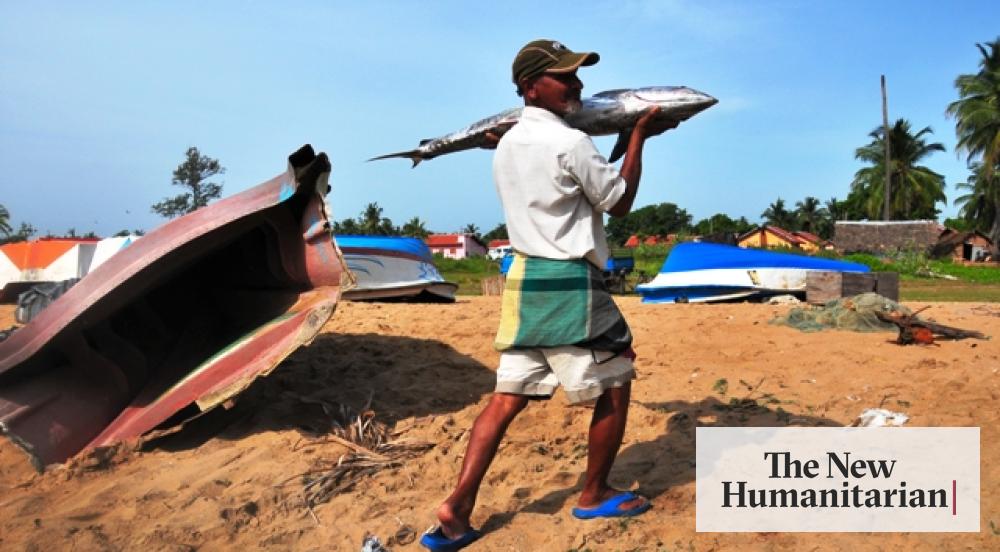 Indian trawlers hurt northern Sri Lanka livelihoods